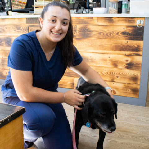 Best Vet Hospital In Middlefield, CT | Powder Ridge Vet