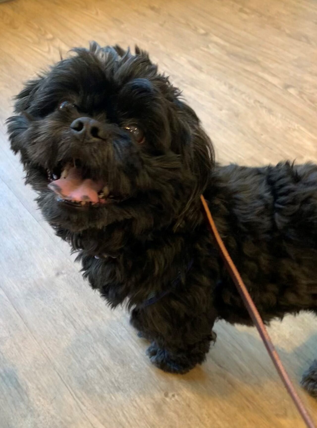 Powder Ridge Veterinary Hospital Gallery | Middlefield, CT