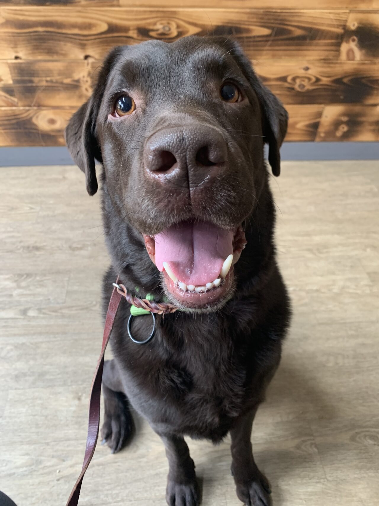 Powder Ridge Veterinary Hospital Gallery | Middlefield, CT