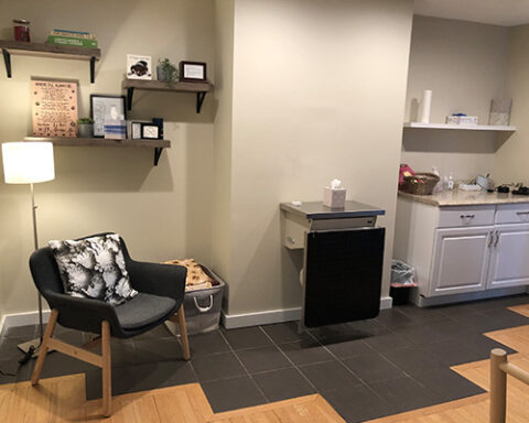 Middlefield, CT Veterinary Services | Powder Ridge Vet