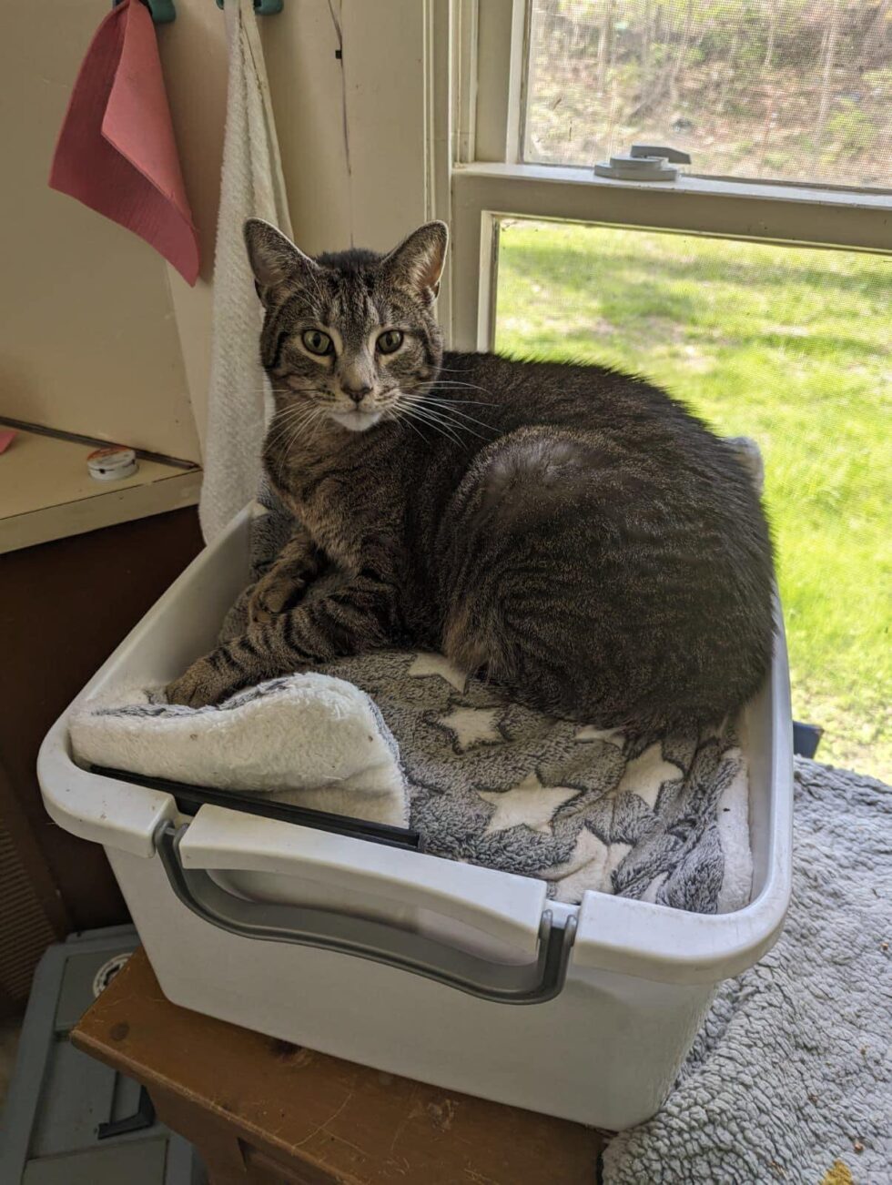 Powder Ridge Veterinary Hospital Gallery | Middlefield, CT