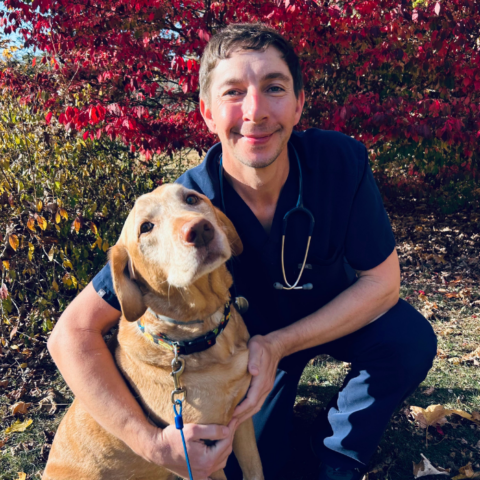 Veterinarian In Middlefield, CT | Powder Ridge Vet Hospital